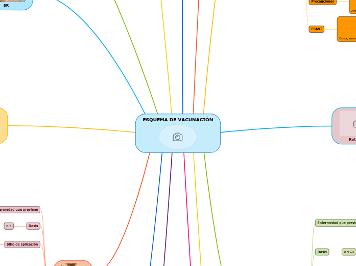 ESQUEMA DE VACUNACIÓN - Mind Map